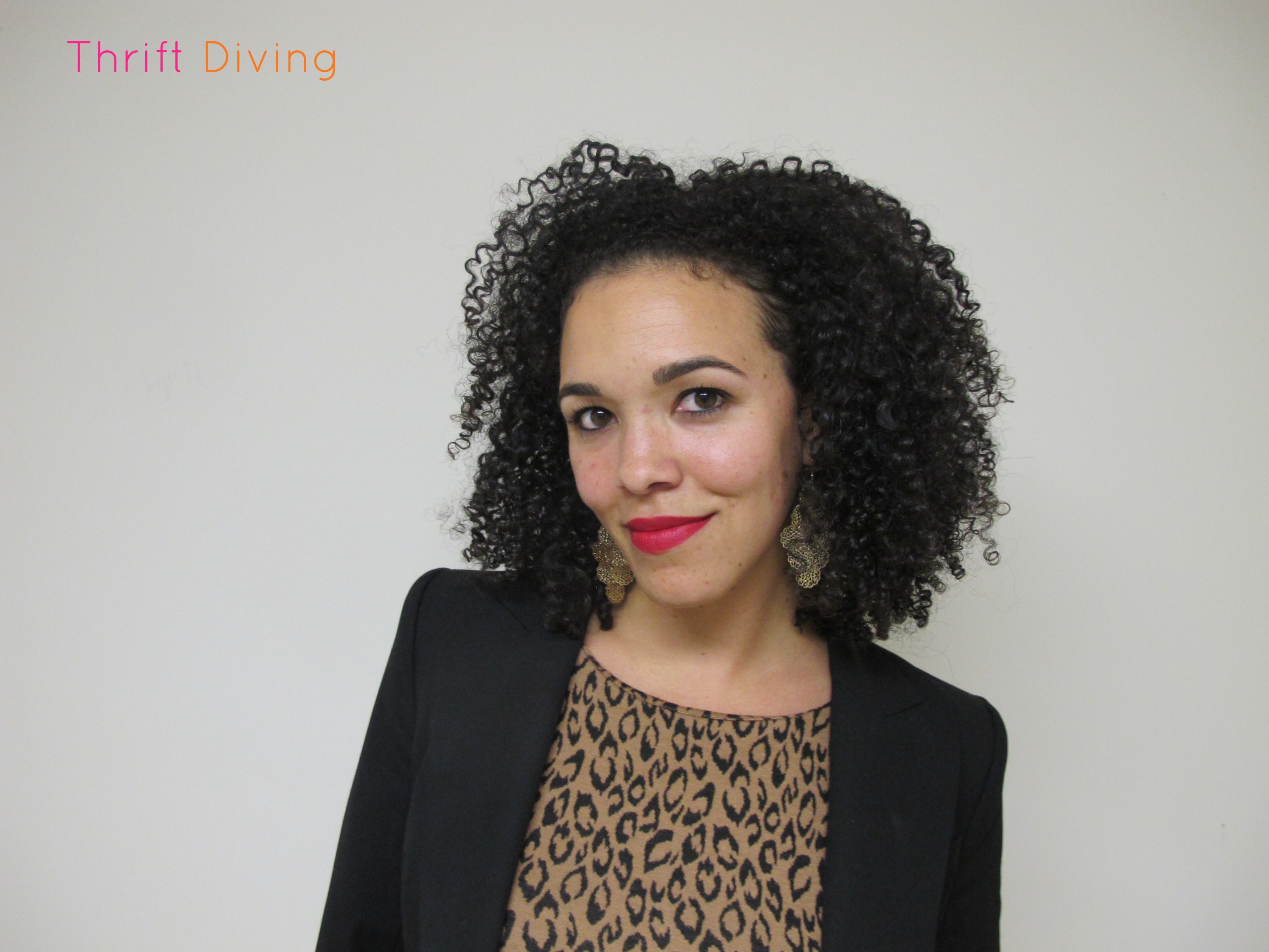 My Dresses From Thrift Stores - Thrift Diving Blog